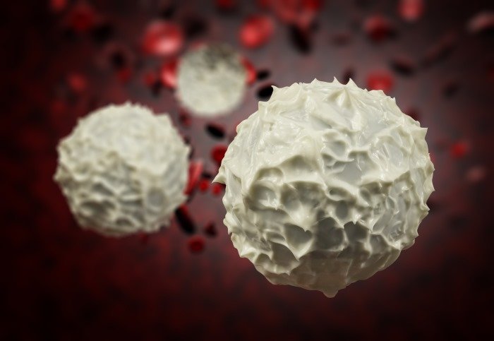 Dangers of High or Low White Blood Cell Count (and How to Fix it ...