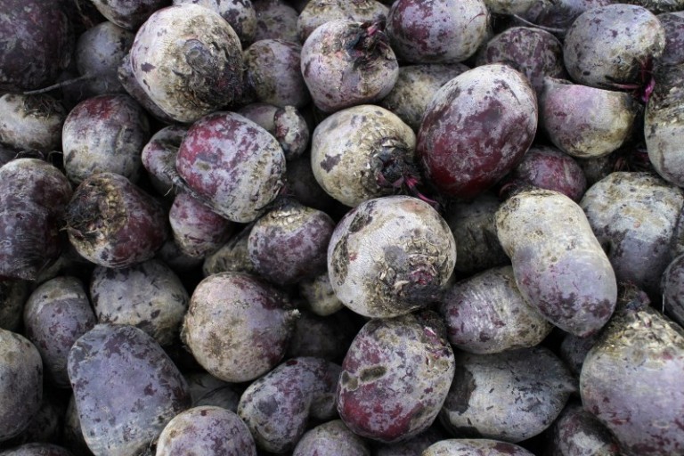 25 Evidence-Based Benefits of Beets - Well-Being Secrets