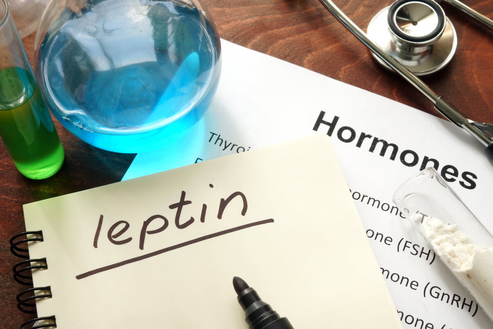 Leptin: The Fat Burning Hormone - Well-Being Secrets