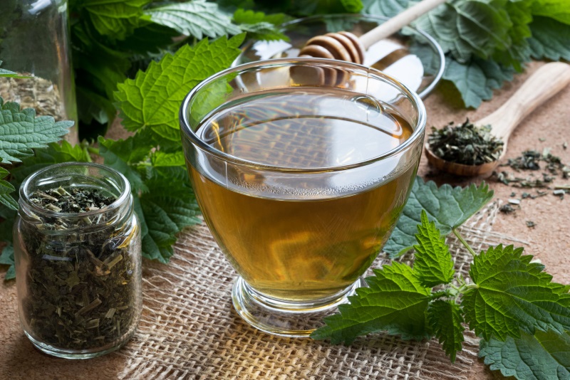 11 Evidence-Based Benefits of Stinging Nettle - Well-Being Secrets